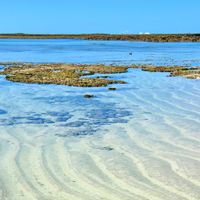 Pacotes de Viagens para Maragogi | Pacotes Turisticos no Decolar