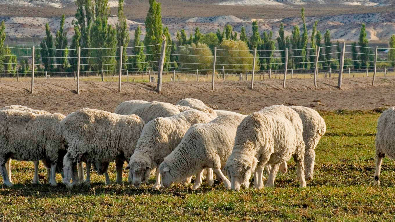 Cosas que hacer en Trelew: Las 10 MEJORES Excursiones