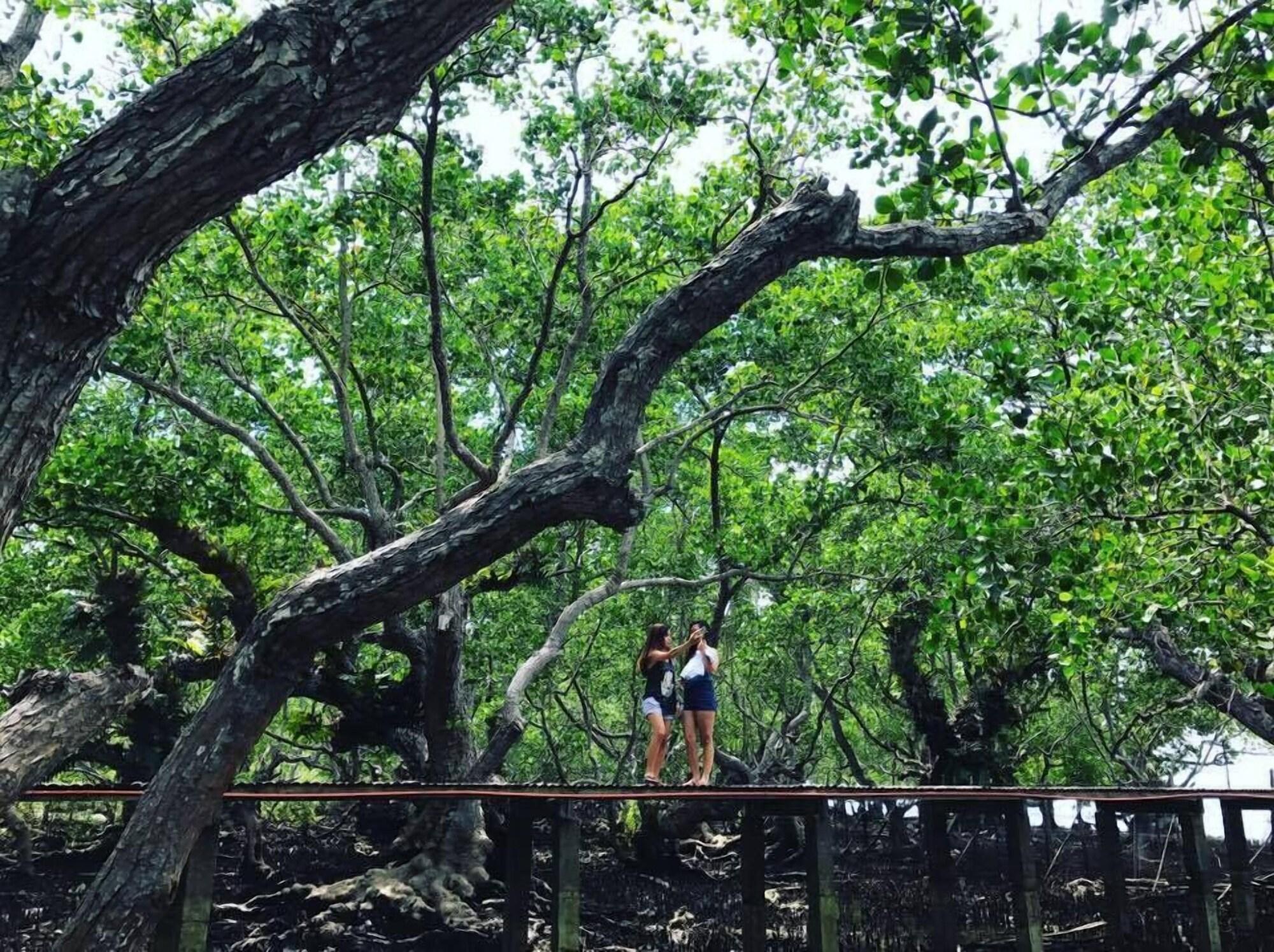 Talikud Island Mangrove Beach Resort Samal | Hotéis na Decolar
