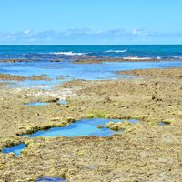 Pacotes de Viagens para Maragogi | Pacotes Turisticos no Decolar