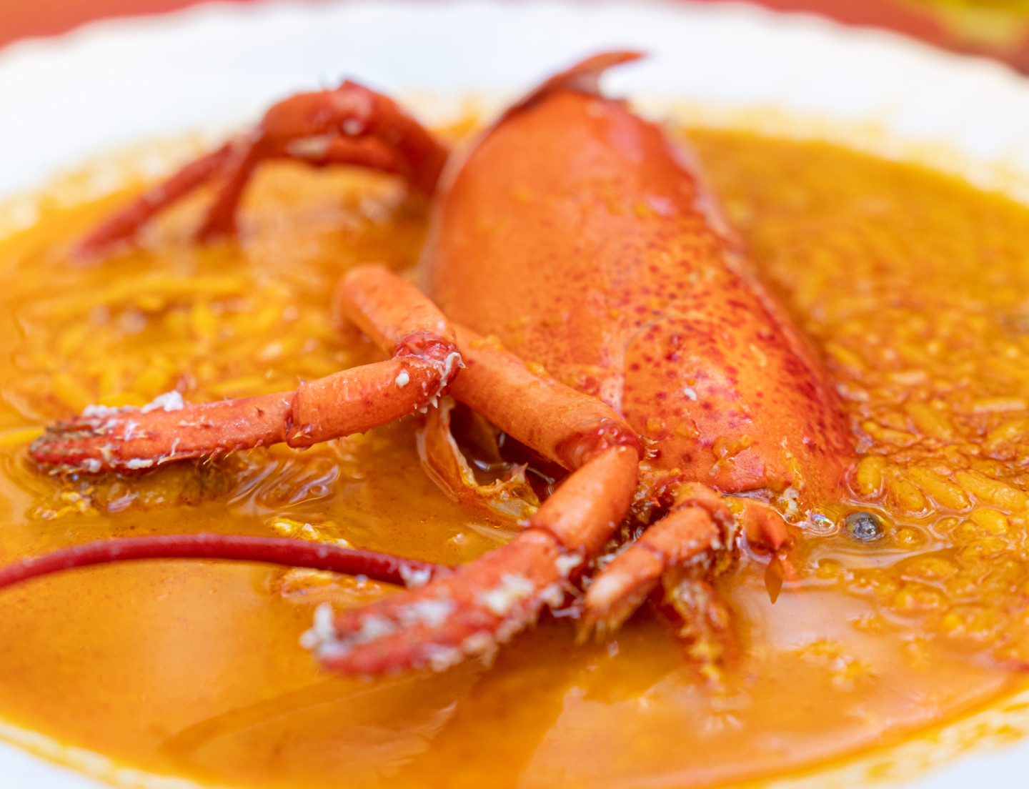 Alagoas: dicas de viagem, o que fazer e mais | Decolar