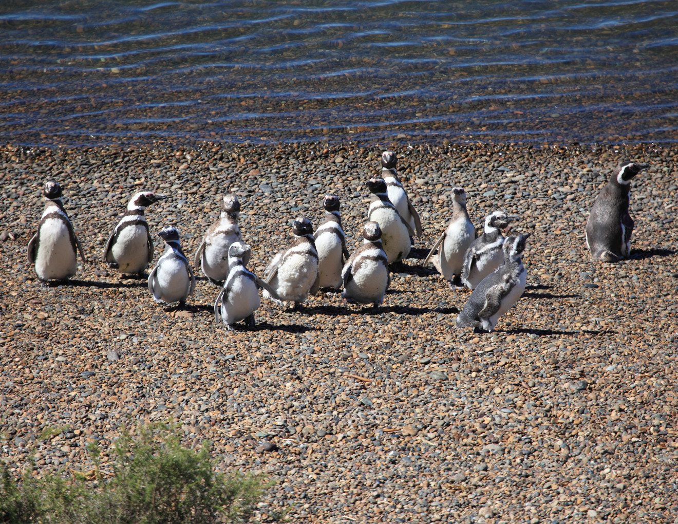 Los mejores Paquetes Turísitcos a Pericotes | Despegar