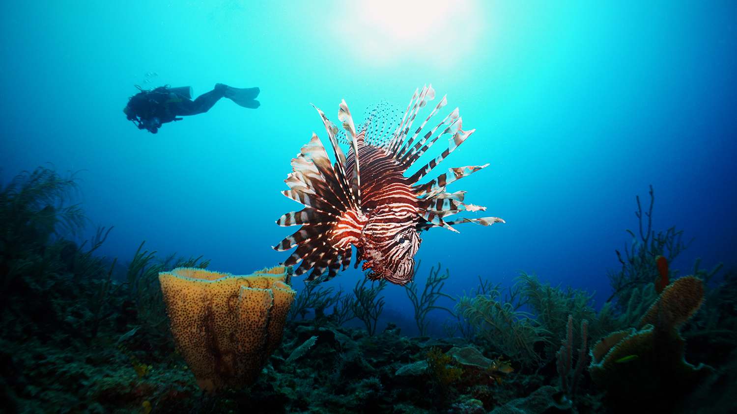 Paquetes de Viajes a Marianka | Despegar