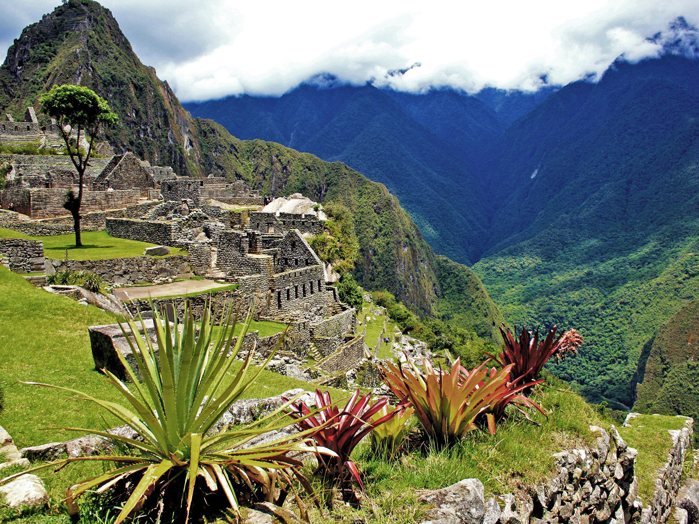 Paquetes de Viaje a Tumbes | Viajes Falabella
