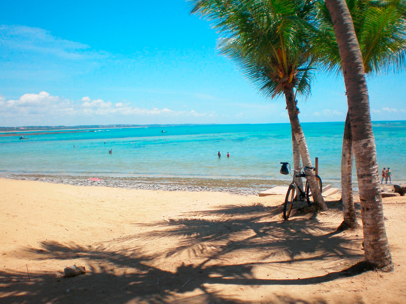 Guia Completo para Conhecer Maceió | Decolar