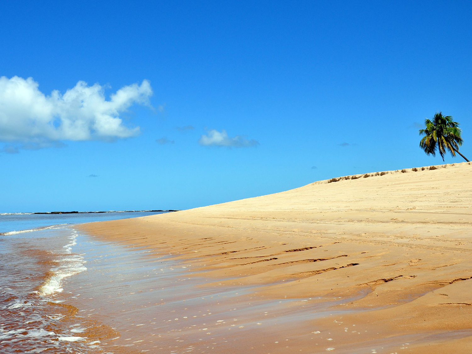 Viajes a Campalto | Paquetes Turísticos en Despegar