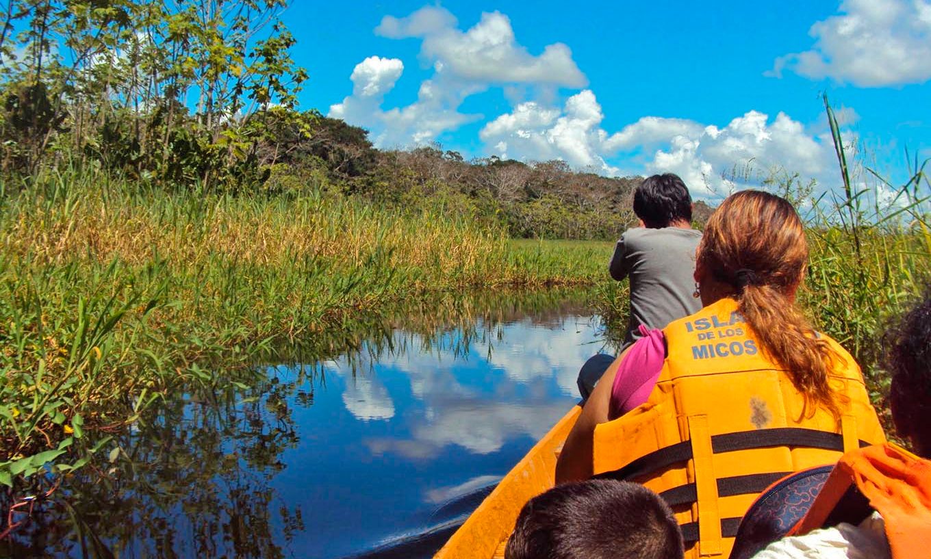 Viajar al Amazonas | Despegar