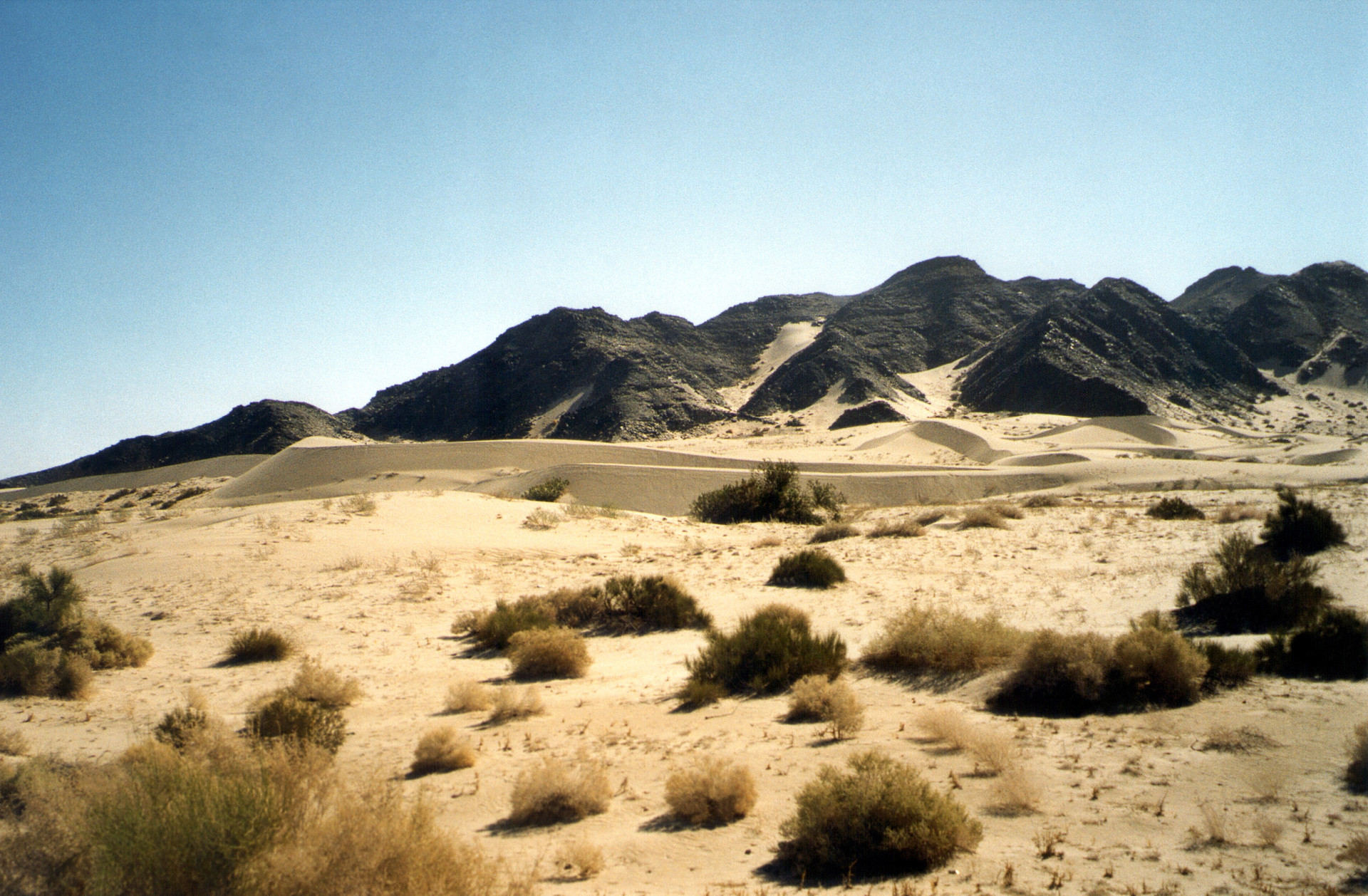 Cosas que hacer en Mexicali: Los 10 MEJORES Tours