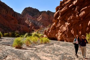 Los mejores Paquetes Turísticos a Salta | Despegar