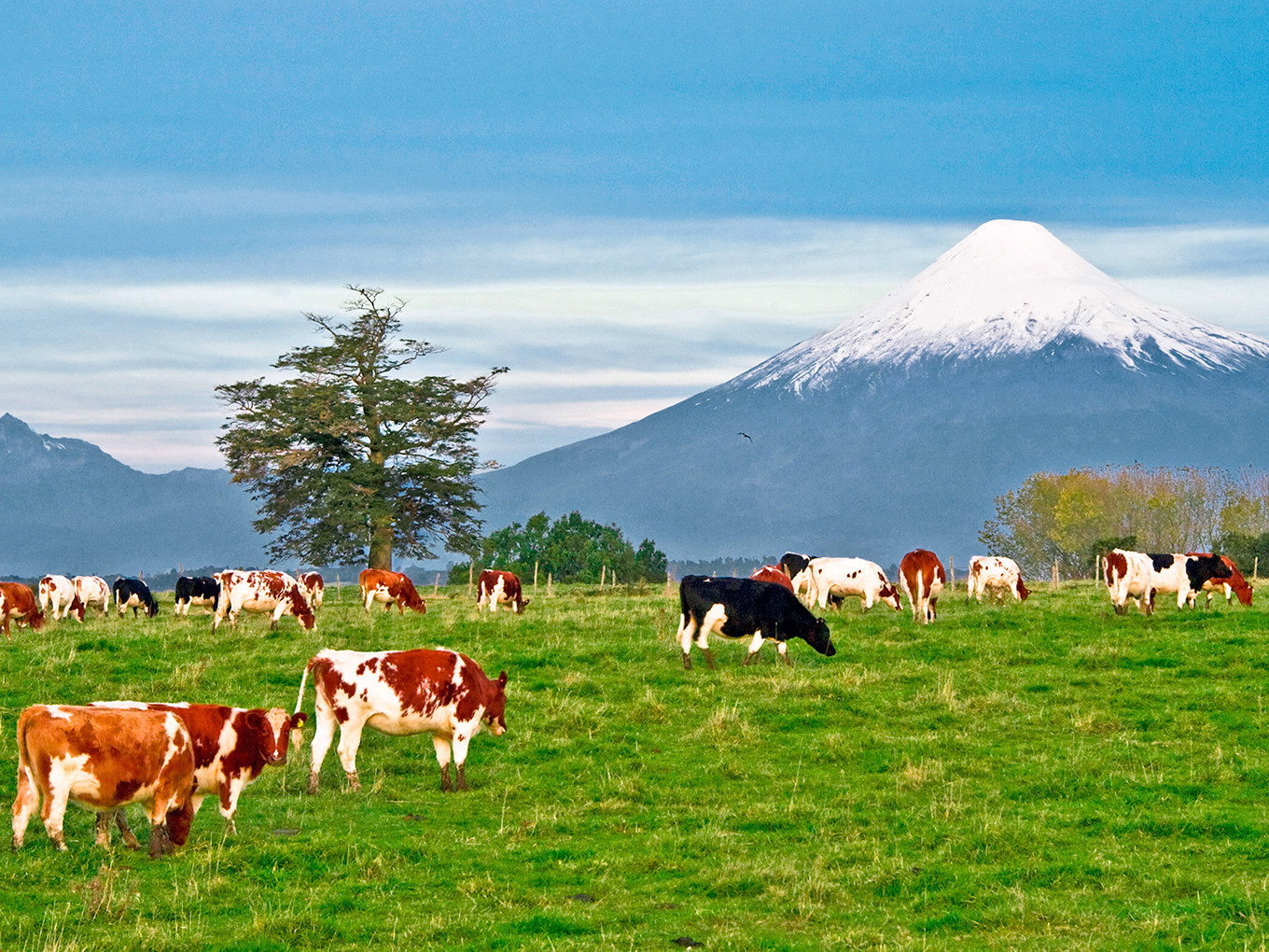 Paquetes de Viajes a Curacautín | Despegar