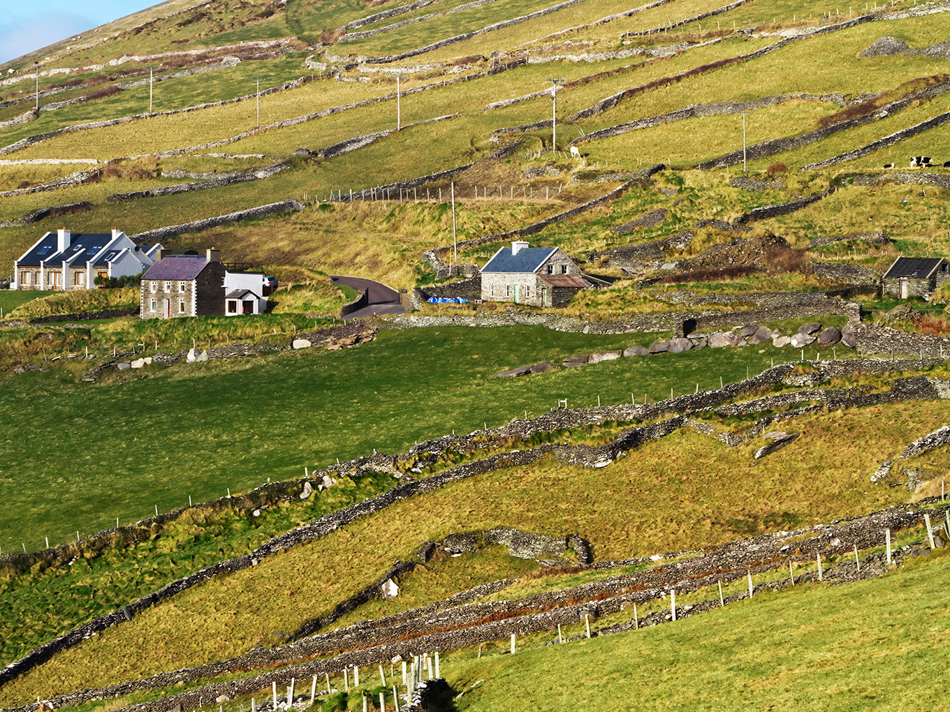 Paquetes De Viaje A Dingle Todo Incluido Best Day