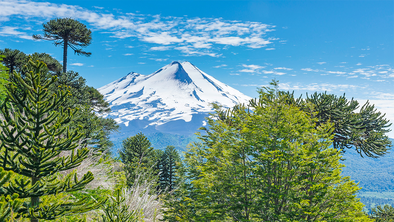 Cosas que hacer en Temuco: Las 10 MEJORES Atracciones